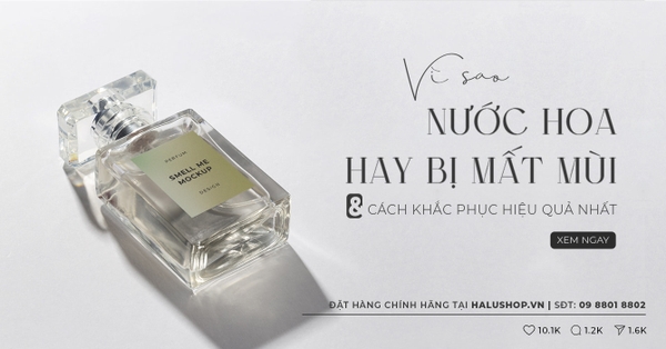 Vì sao nước hoa bị mất mùi? Cách khắc phục tránh mất mùi nước hoa