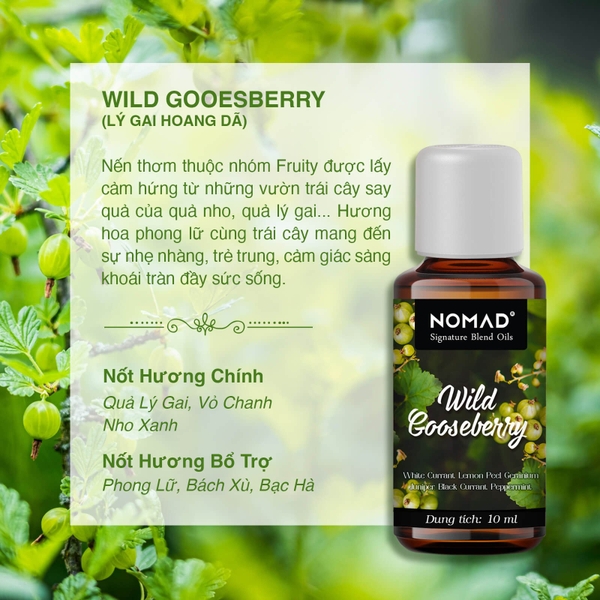 Tinh Dầu Nomad Signature Blend Oils - Wild Gooseberry | OILMART