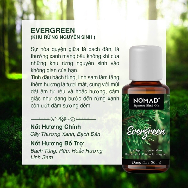 Tinh Dầu Nomad Signature Blend Oils - Evergreen | OILMART