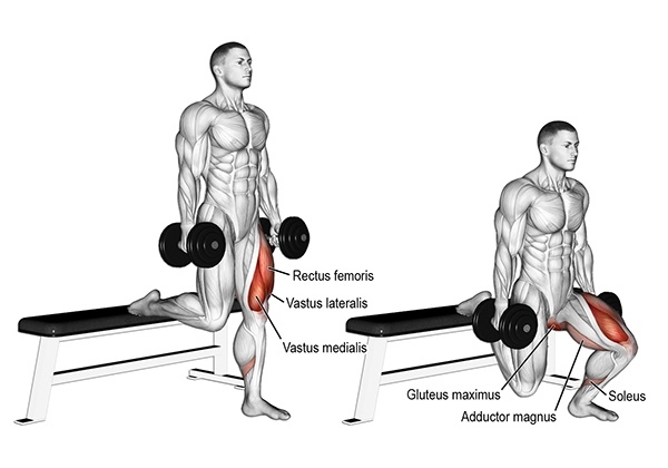 Giải thích bulgarian split squat là gì và cách tập hiệu quả nhất