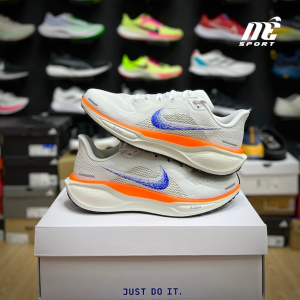 Nike Pegasus 41 HF0013-900