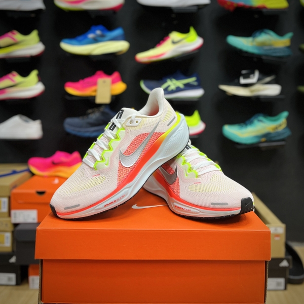 Nike Pegasus 41 FD2723-100