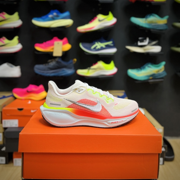 Nike Pegasus 41 FD2723-100