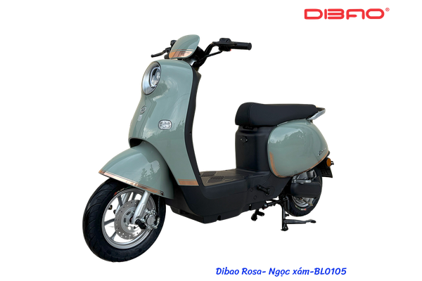 Xe máy điện Dibao Rosa