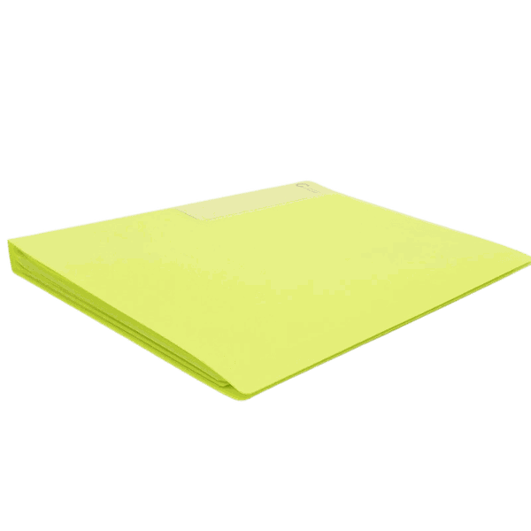 Bìa 40 lá Plus 82-V092 x.lá nhạt-HV/VT