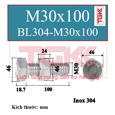 Bu lông inox 304-M30x100+E Siêu thị ốc vít
