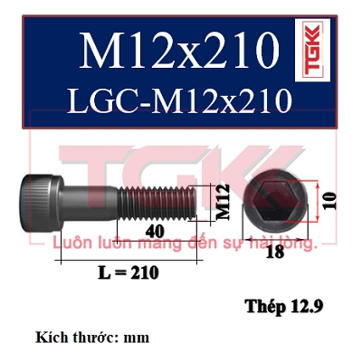 Bu lông lục giác chìm-M12x210 Siêu thị ốc vít