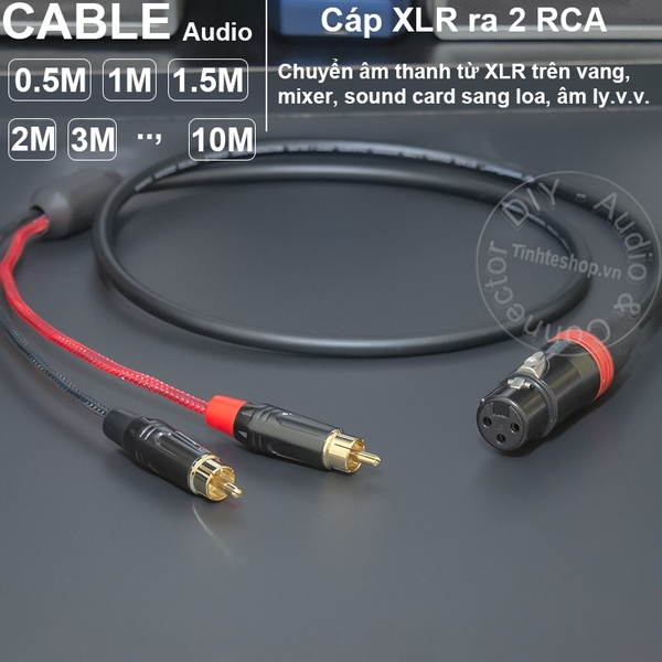 Cáp canon ra 2 hoa sen chuyển âm từ Vang Mixer sang loa | Tinh Tế Shop