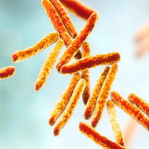 TBCT Clinical Trial: Study 29: Evaluating Rifapentine Drug in ...