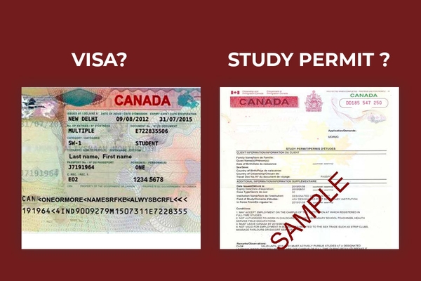 Phân biệt Visa và Study Permit