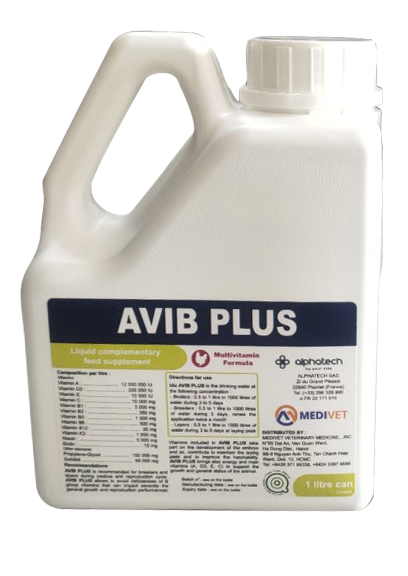 AVIB-PLUS