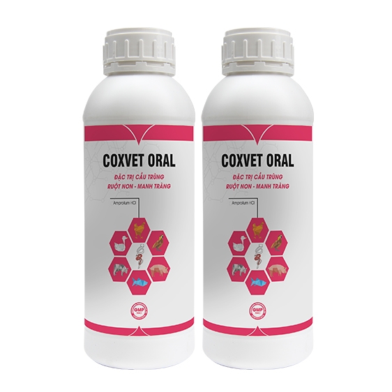 COXVET ORAL