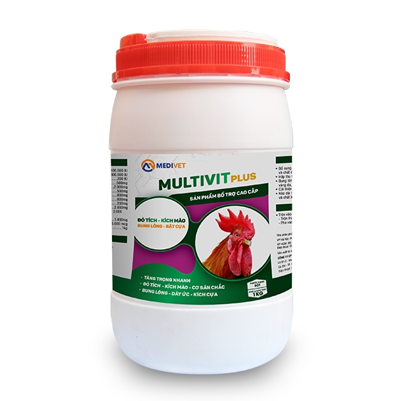 MULTIVIT PLUS