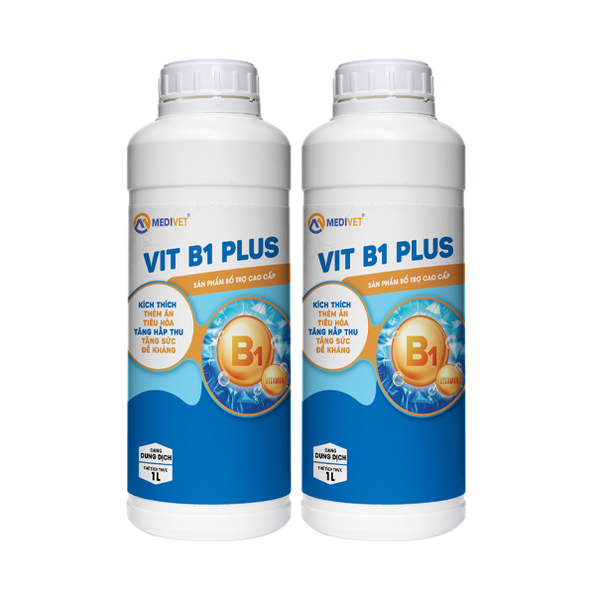 VIT B1 PLUS