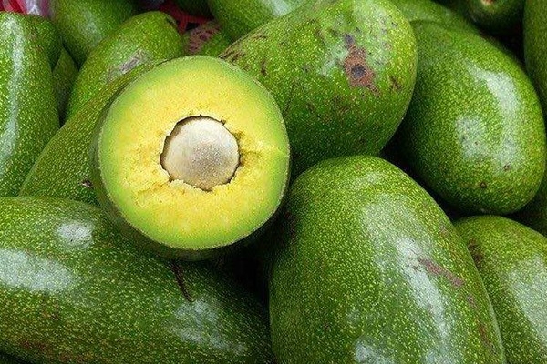 Cách chọn bơ ngon, dẻo, không bị sượng nongduocbichtram