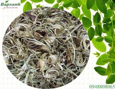 Hoa atiso | Bông Atiso | Nhụy atiso | Thân atiso | Lá atiso | Rễ atiso