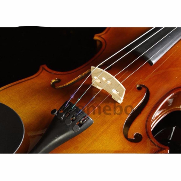 Đàn Violin Omebo RV205 (size 1/2 2/4 3/4 4/4)