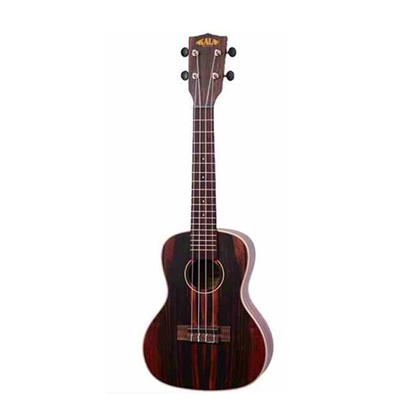 Địa chỉ bán ukulele Dream Maker Exotic UK-24 chính hãng