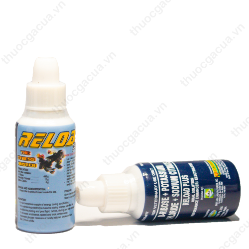Reload Plus Chống Rớt Bo Cho Gà Đi Đá - Chai 15ml Thuốc Gà Cựa