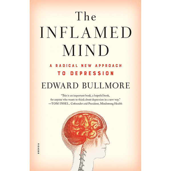 The Inflamed Mind