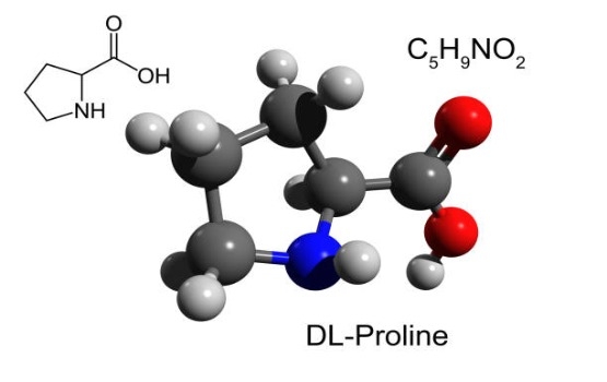 Những điều cần biết về Proline trong mỹ phẩm