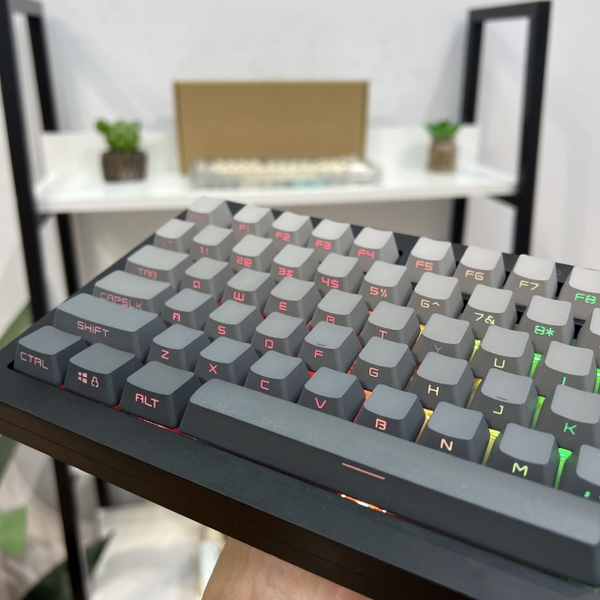 Bộ keycap polar day OEM xuyên led | Kicap