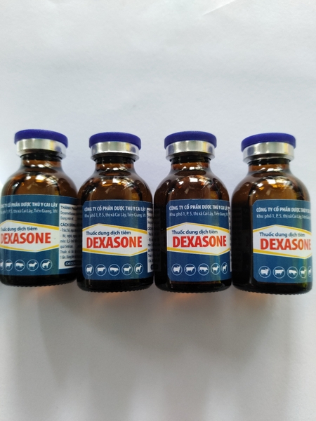 DEXASONE Thuốc dung dịch tiêm chống viêm mạnh