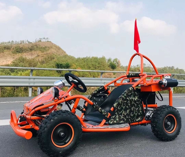 Tại sao Xe xăng go-kart và xe điện go-kart rất thu hút người chơi ở cá