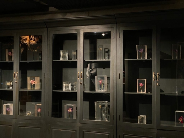 Chiêm ngưỡng các tác phẩm hoa tulip Hà Lan của nghệ sĩ Takao Inoue The ...