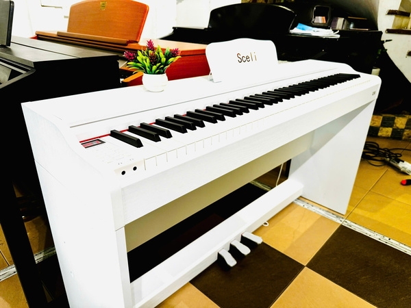 Đàn Piano điện Sceli CE88| Đàn chất lượng giá cực ưu đãi