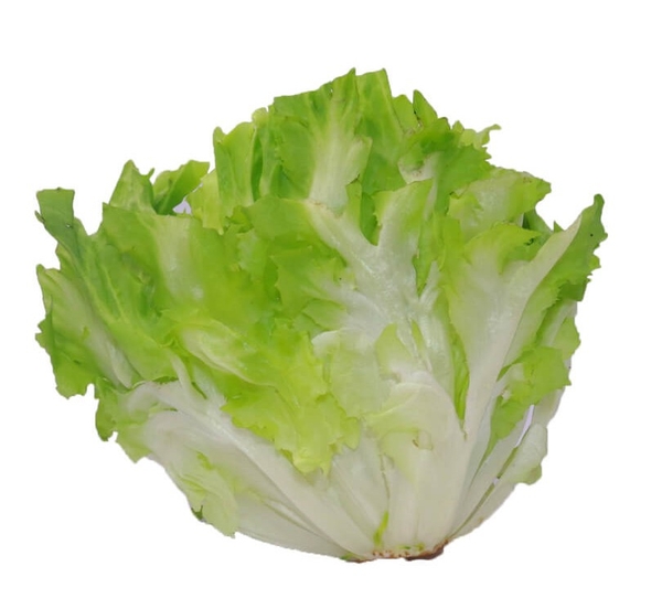 Xà Lách CaRol - Công ty TNHH TM DV VINFOOD