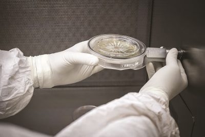 Đĩa thạch kiểm soát vi sinh Biocapt Single Use Hãng: PMS/Mỹ | Công Ty ...