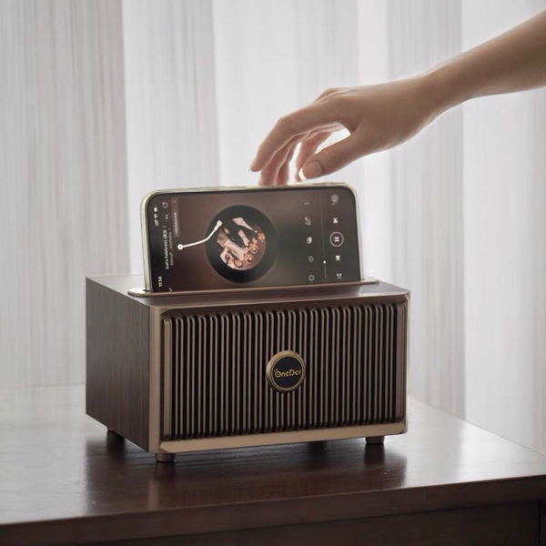 Loa decor Retro Radio cao cấp / Retro Radio