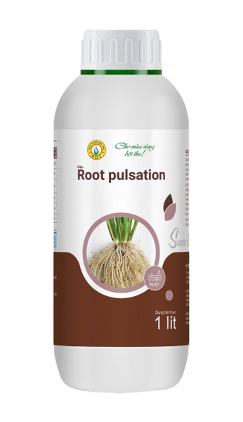 Phân bón lá Sunroot(B,MO) Hiệu Root Pulsation 1000ml