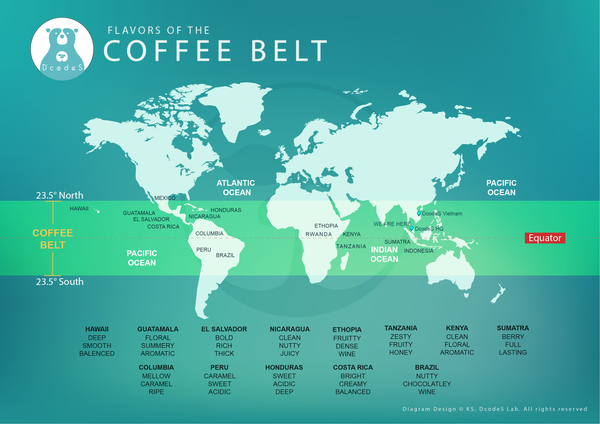 Coffee Bean Belt - Vành Đai Cà Phê Trên Bản Đồ Thế Giới | Dimesion Coffee