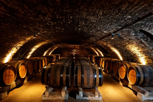 Rượu Vang Patriarche - Pol Remy Ice