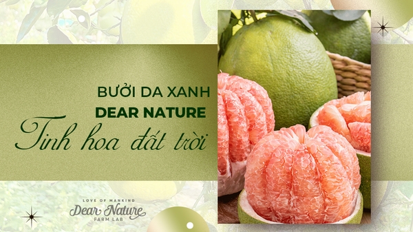HÀNH TRÌNH CỦA TRÁI BƯỞI NGỌT THANH, TINH KHIẾT TỰ NHIÊN
