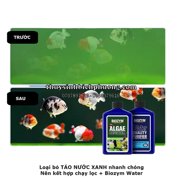 BIOZYM ALGAE REMOVER - THUỐC DIỆT RÊU TẢO HẠI HIỆU QUẢ VÀ AN TOÀN | Cửa ...