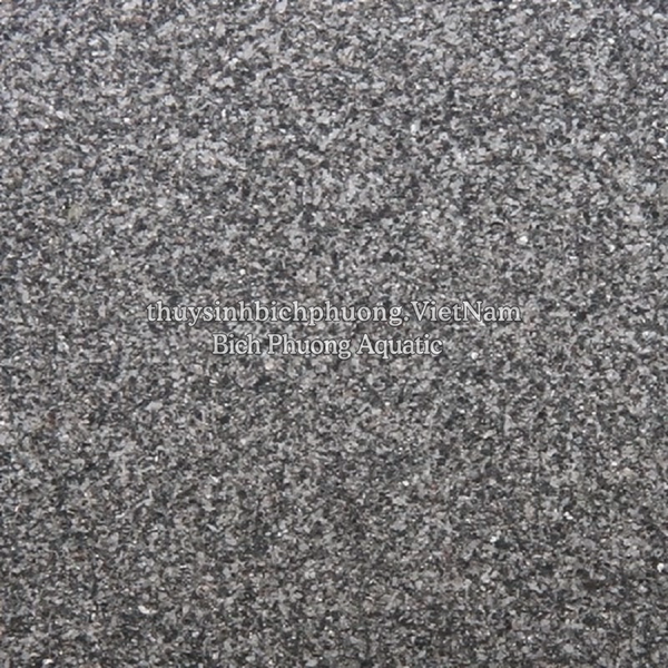 JBL SANSIBAR GREY - CÁT XÁM CAO CẤP | Cửa hàng Thủy Sinh Bích Phương