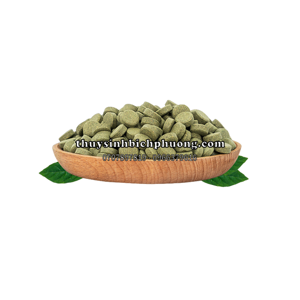 BIOZYM SPIRULINA TAB - THỨC ĂN TẢO XOẮN DÁN KÍNH CHO CÁ CẢNH, TÉP CẢNH ...