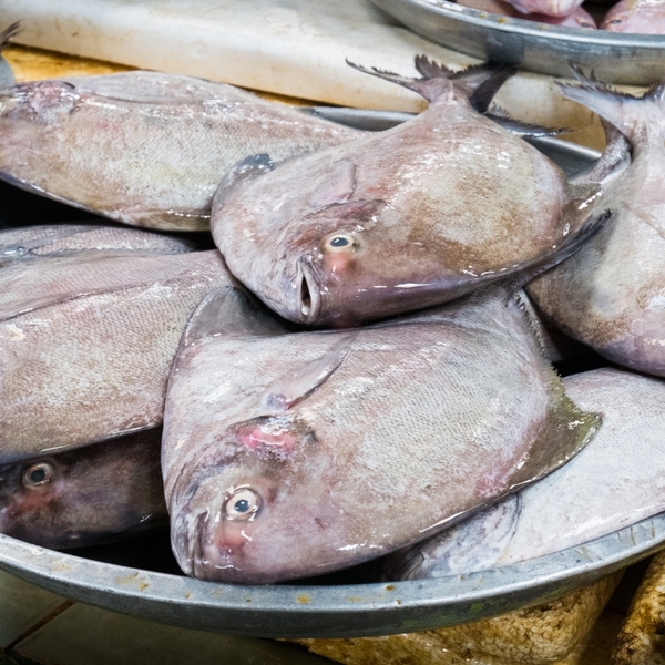 Cá Chim Đen Công ty cổ phần Thủy Sản Đà Nẵng