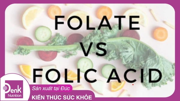 Folate và Axit folic là gì? Phân biệt Folate và Axit Folic? | Denk ...