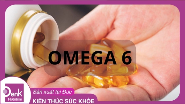 Omega 6 là gì? Omega 6 có những tác dụng gì? | Denk Nutrition