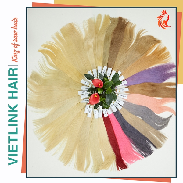 VIETNAMESE STRAIGHT BULK HAIR | #22C COLOR | VIETLINK HAIR
