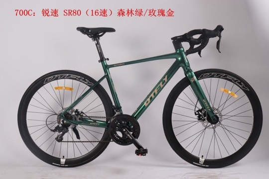 DTFLY SR80 xe đạp đua (road bike) tốt nhất tầm 6 đến 7 triệu | Goosebike