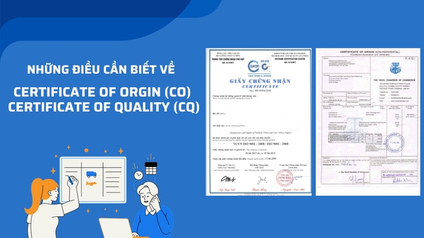 CO CQ là gì? Vì sao lại quan trọng trong xuất khẩu và vận chuyển