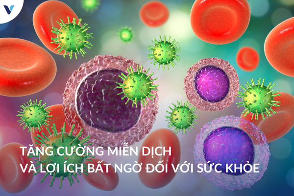 Tăng cường miễn dịch và lợi ích bất ngờ đối với sức khỏe