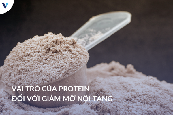 Vai trò của protein đối với giảm mỡ nội tạng