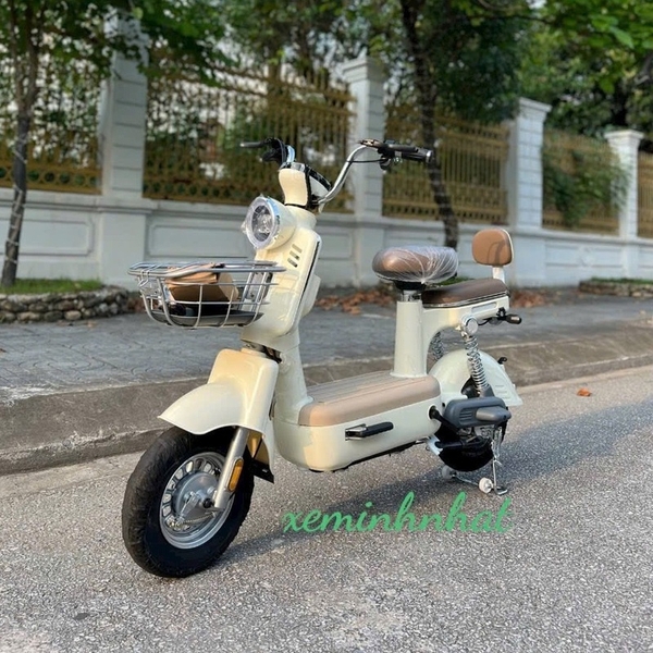 Xe Đạp Điện Mini Nhập Khẩu Chính Hãng [Hot 2024] | Xe Minh Nhật