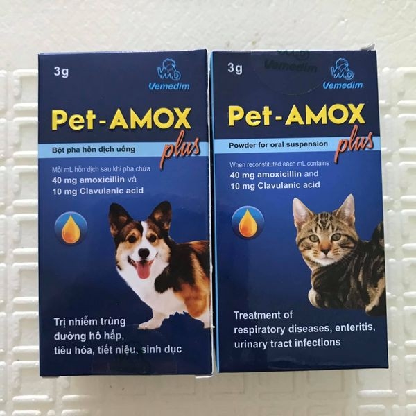 Pet-Amox Plus 3g Giảm Tiêu Chảy, Hô Hấp Cho Chó Mèo Pet&Joi Petshop